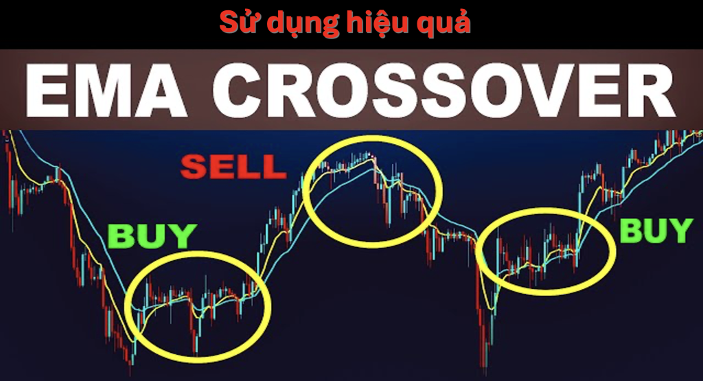 Sử dụng EMA Crossover trên TradingView như thế nào cho hiệu quả? - PineScriptVN